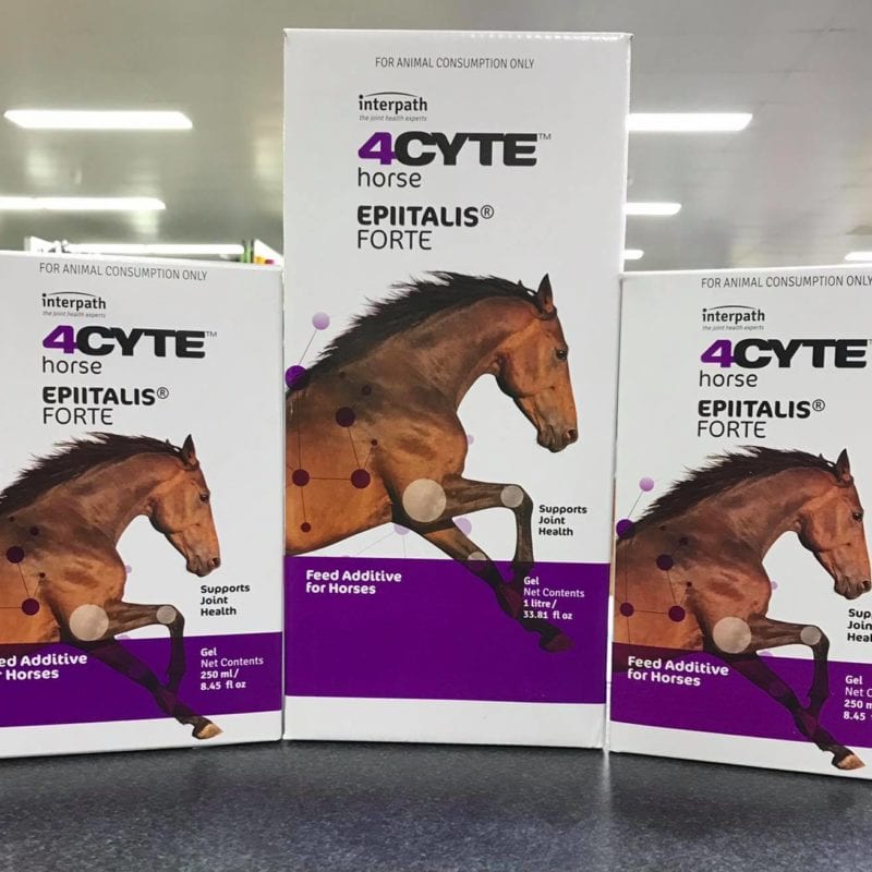 4CYTE Equine Epiitalis Forte Gel | Southwest Stockfeeds